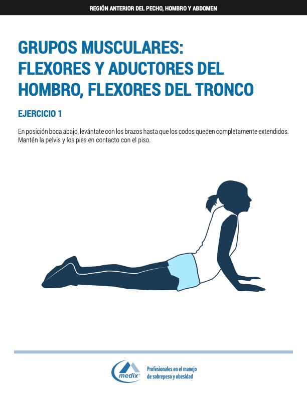 8. Región anterior pecho hombro abdomen - Medical Medix®